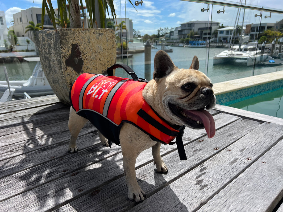 Jetpilot Dog PFD - Red – Jetpilot Thailand