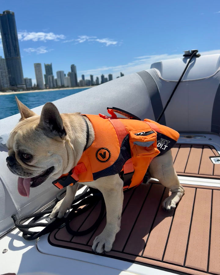 ORA VENTURE DOG PFD – Jetpilot Thailand